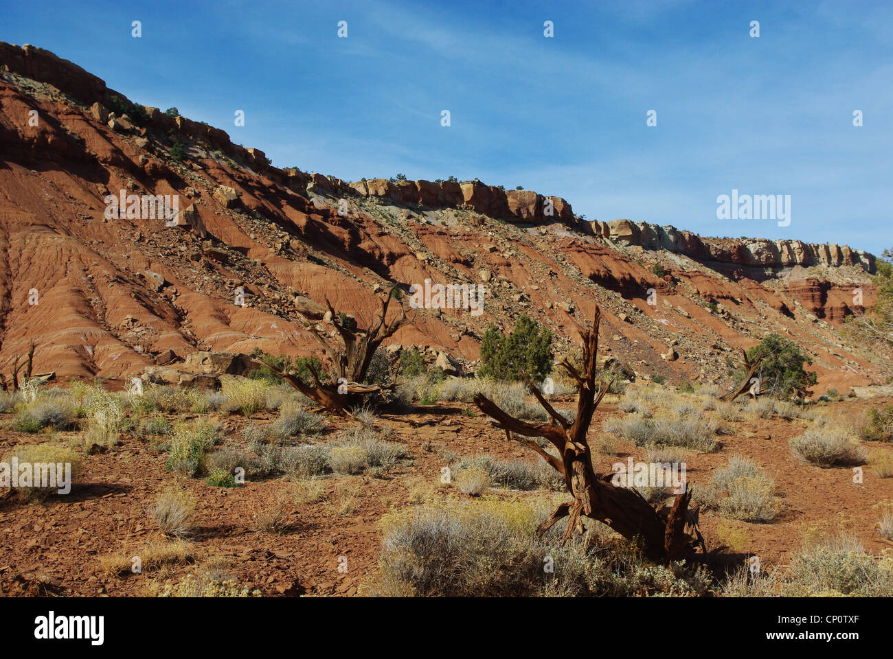 Red desert dry hi-res stock photography and images - Alamy