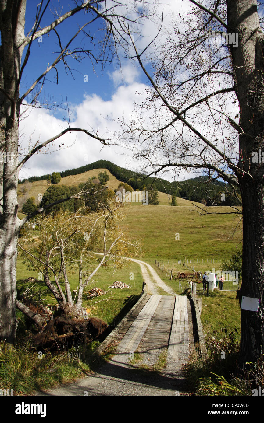 A farm road in Nelson Stock Photo - Alamy