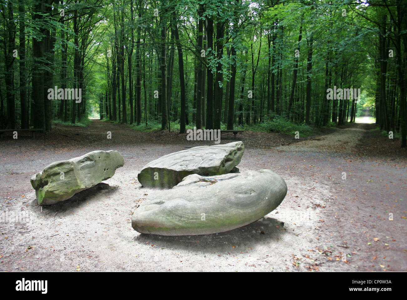 Rocks in Tervuren park Stock Photo - Alamy