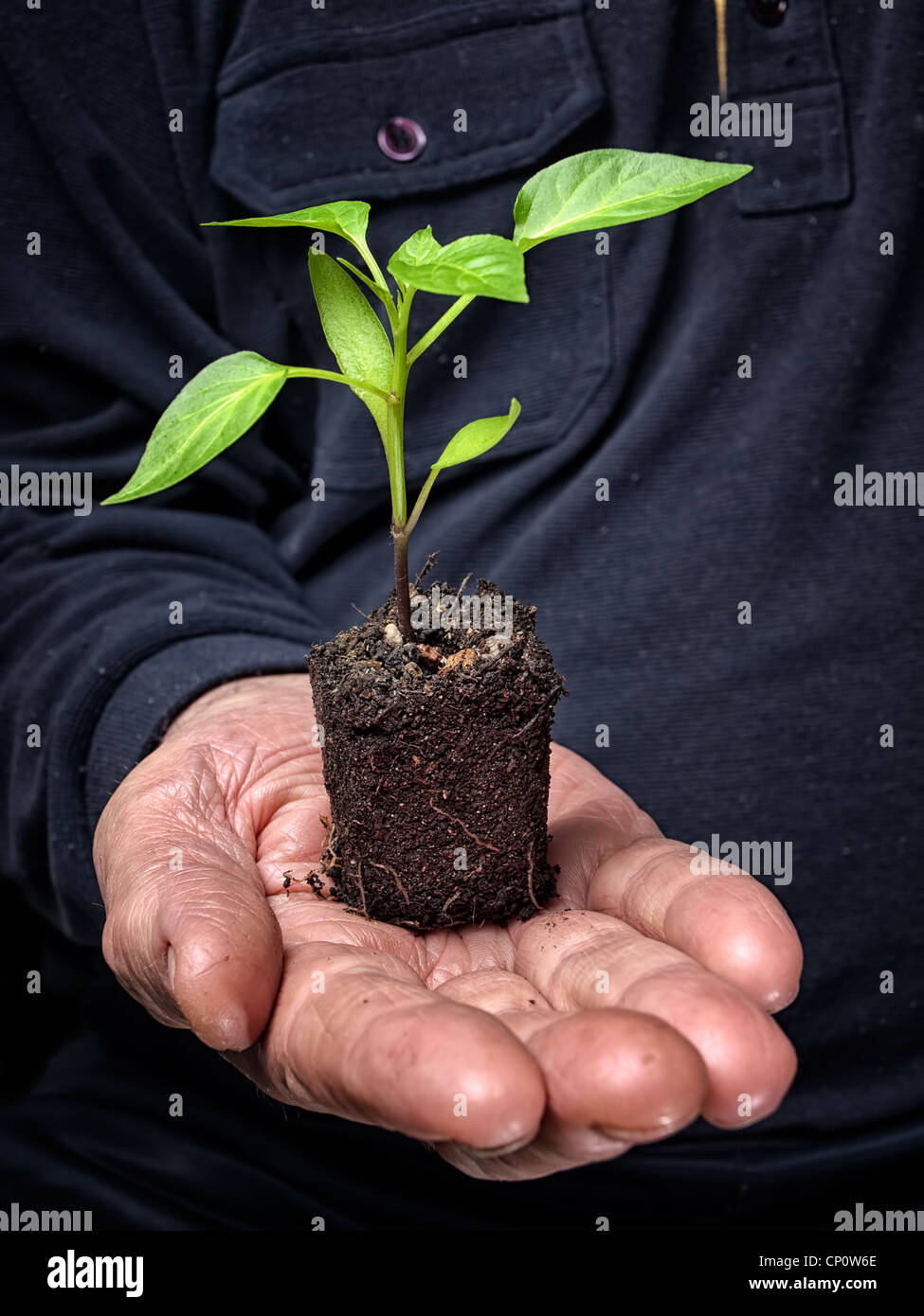 Growing Lump High Resolution Stock Photography and Images - Alamy