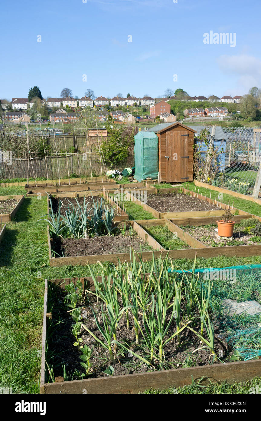 Allotment plot hi-res stock photography and images - Alamy