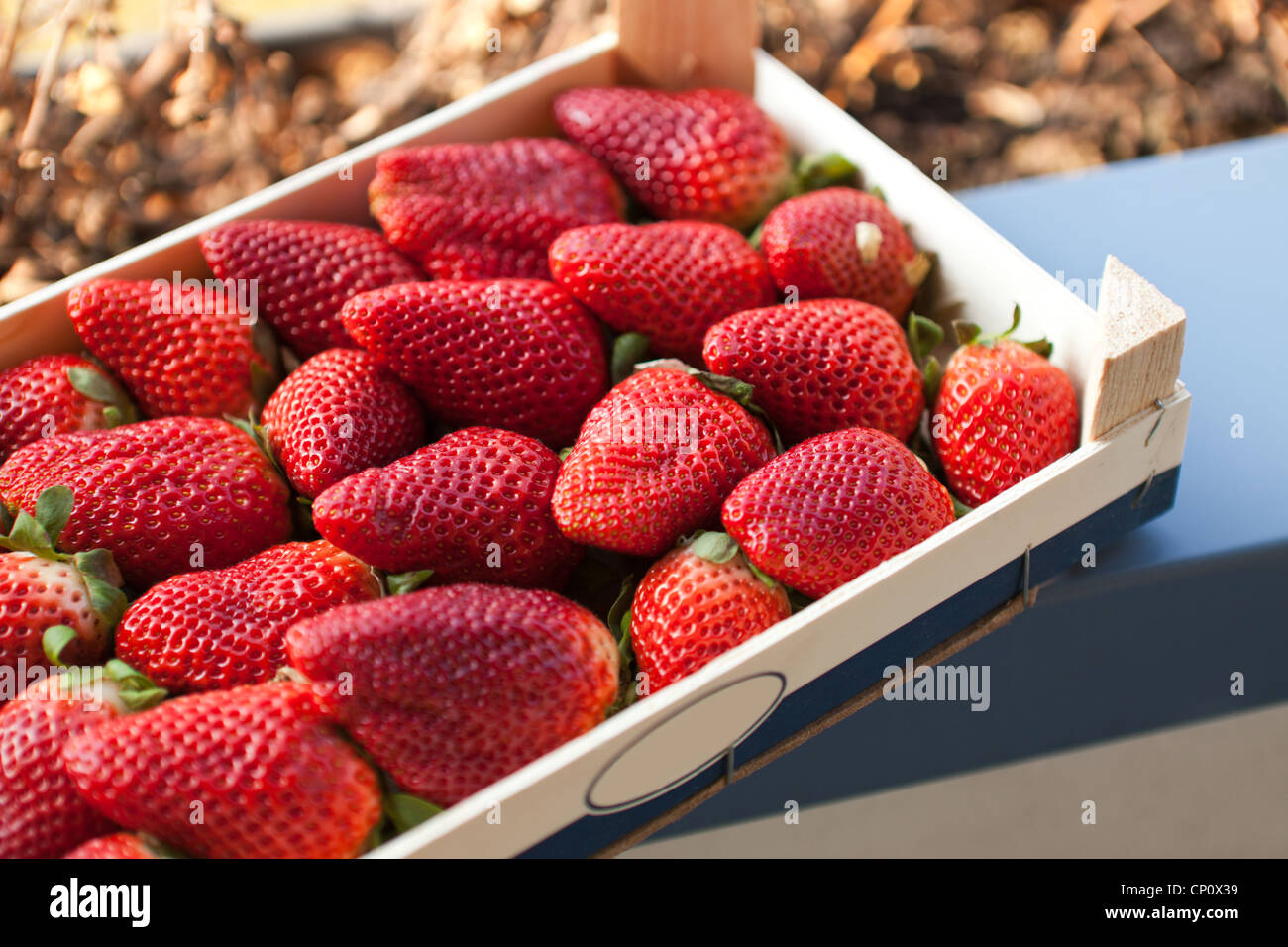 Strawberries in a box hi-res stock photography and images - Alamy