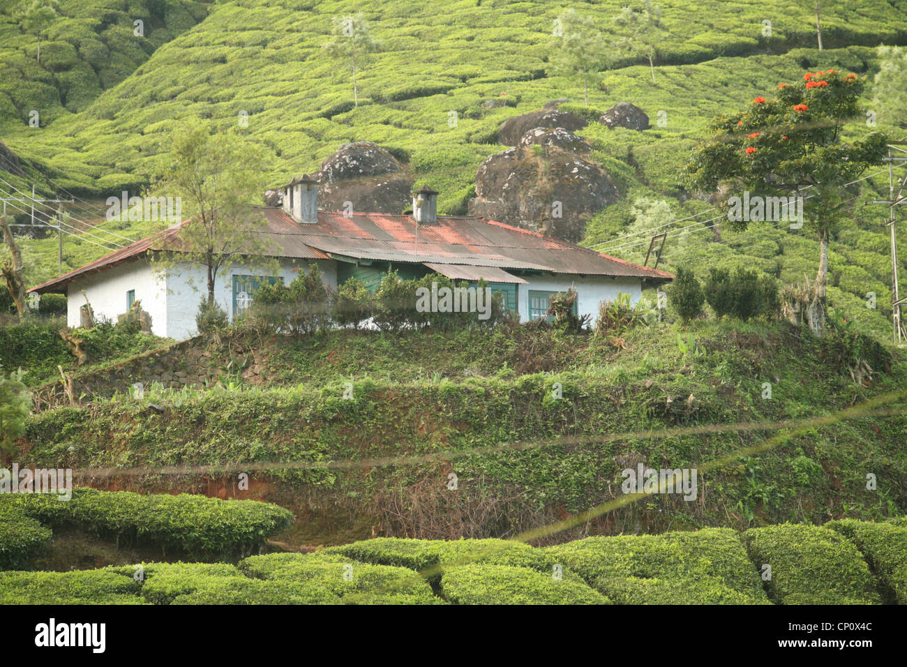 Old British tea plantation bungalow Stock Photo - Alamy