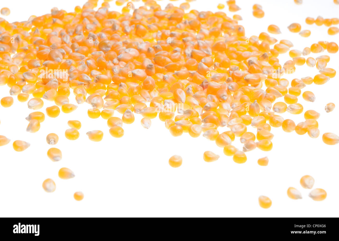 Dried corn seeds Stock Photo - Alamy