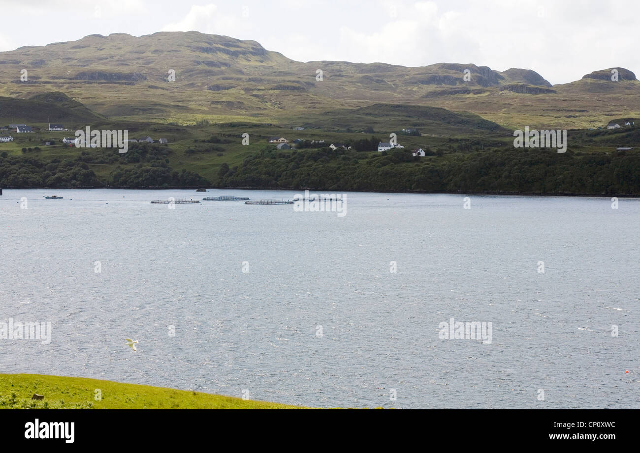 Fish farms in Loch Harport from Bracadale Isle of Skye Scotland Stock ...