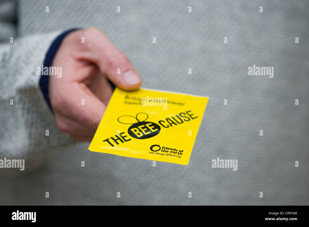 Hand holding British Wildflower 'friends of the earth' seed packet to ...
