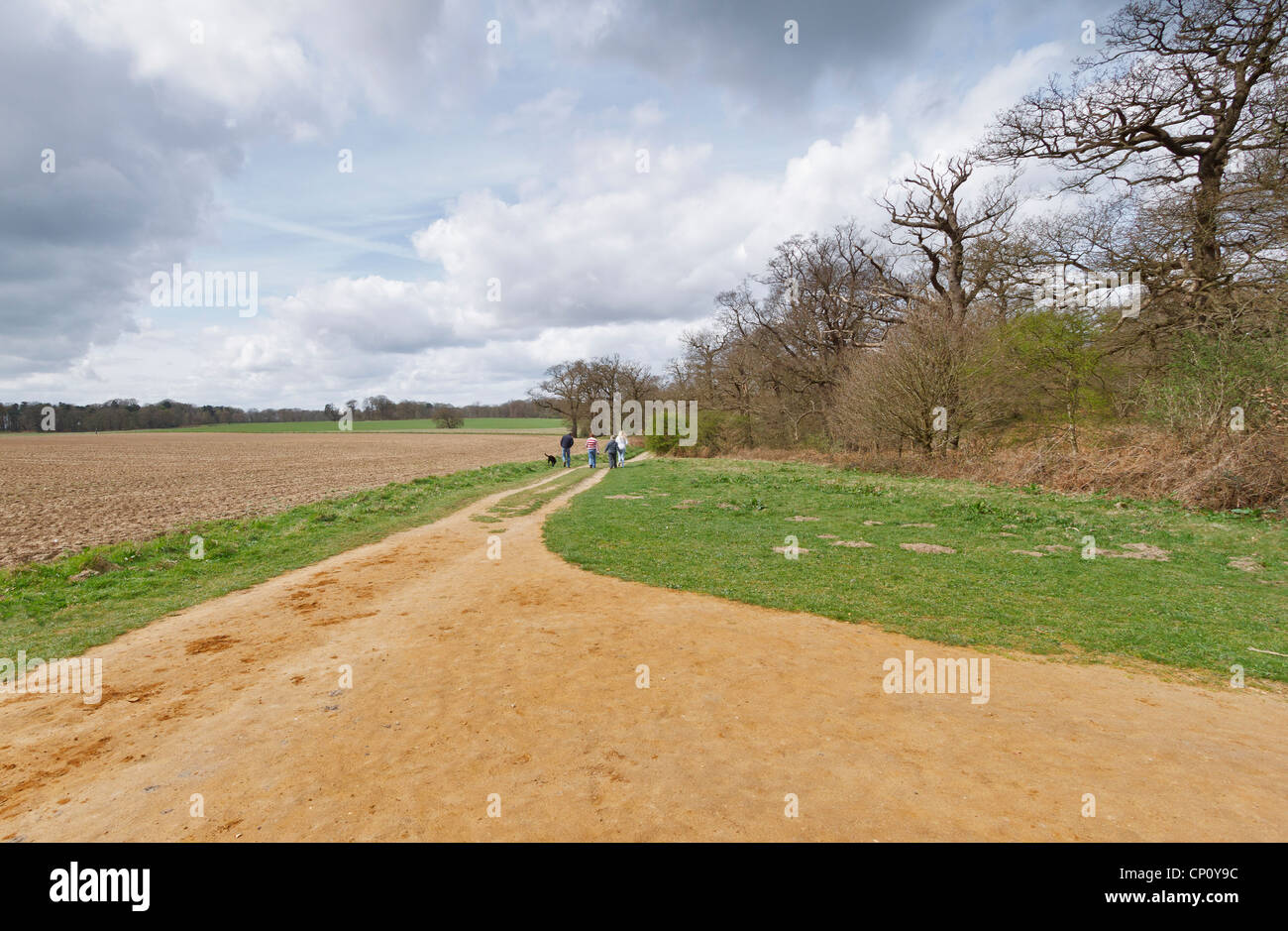 A pleasant walk through a local "Country Park" in "Early Spring" "East ...