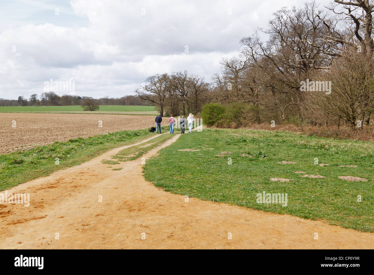 A pleasant walk through a local "Country Park" in "Early Spring" "East ...