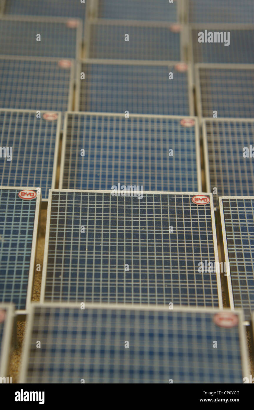 BYD solar cell panel Stock Photo - Alamy