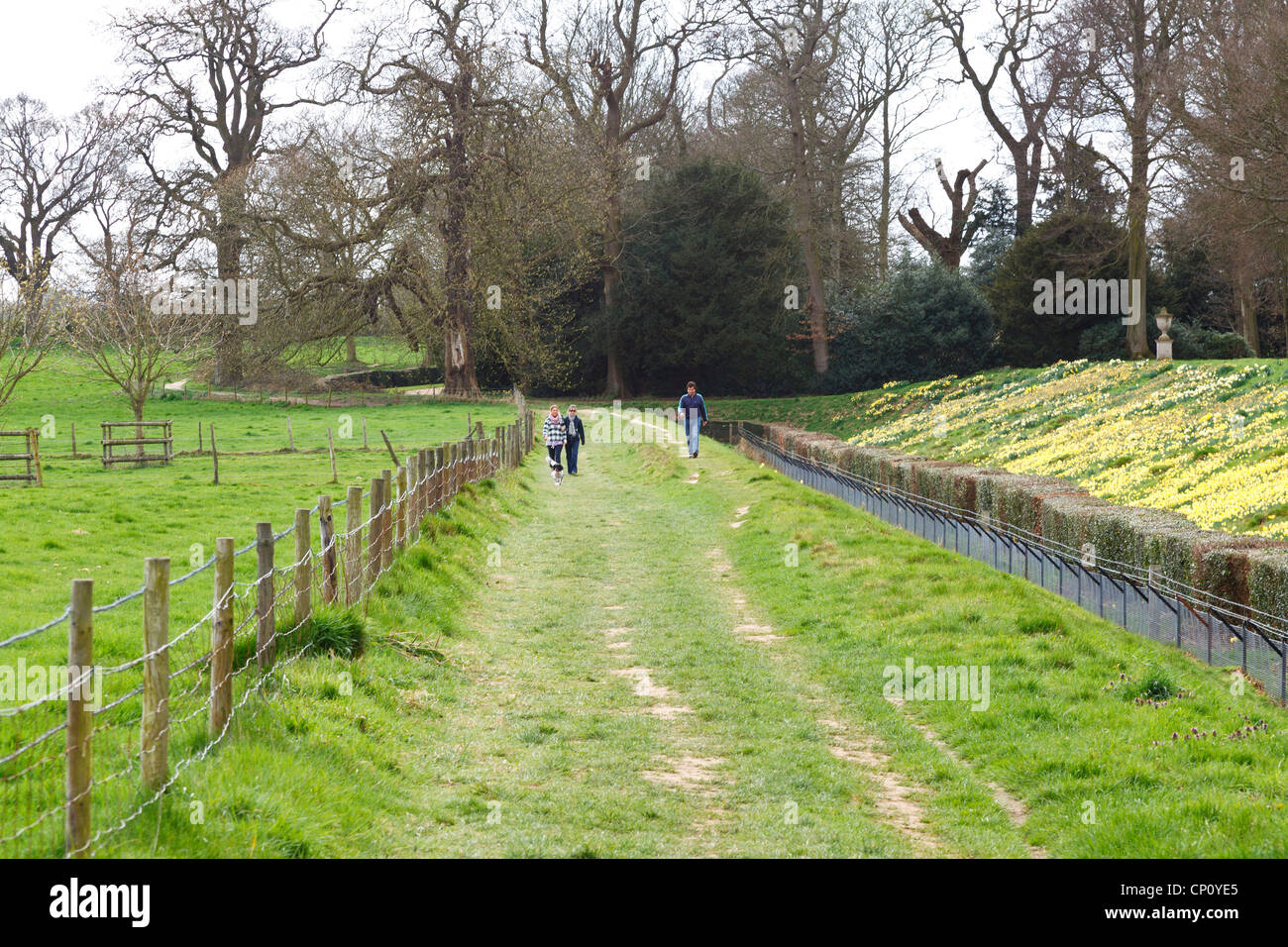 A pleasant walk through a local "Country Park" in "Early Spring" "East ...