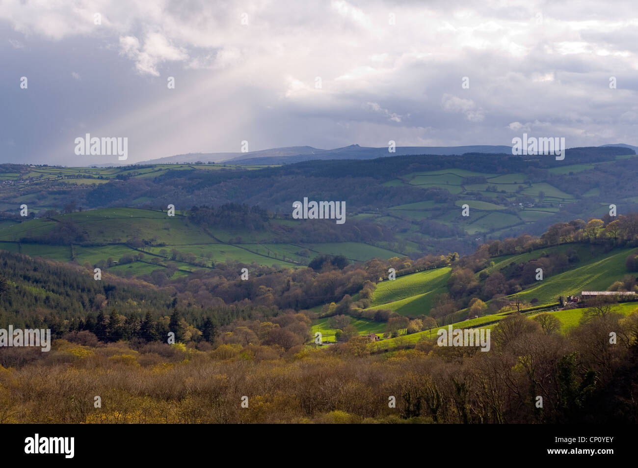 Teign valley,rolling devon hills,hedgerows,thatch,agricultural ...