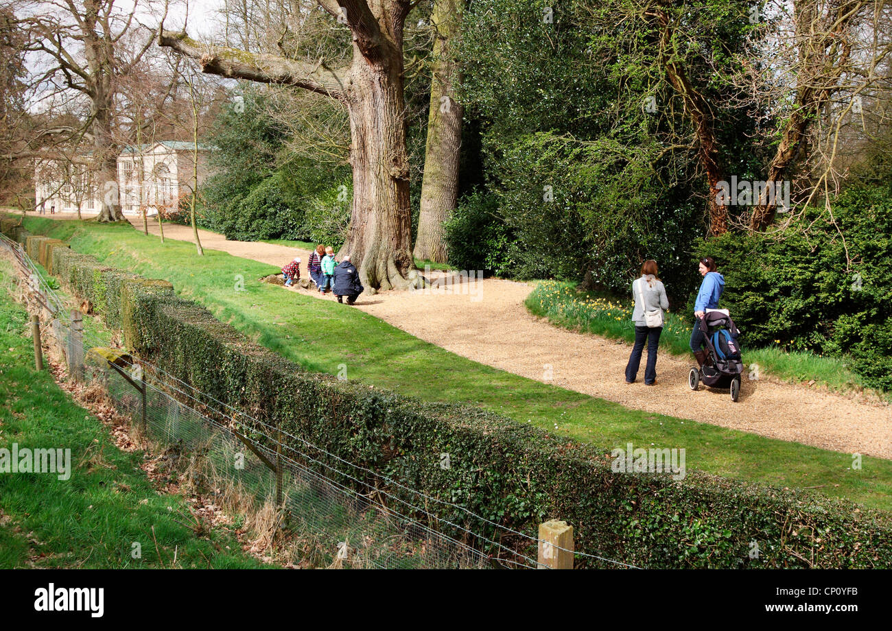A pleasant walk through a local "Country Park" in "Early Spring" "East ...