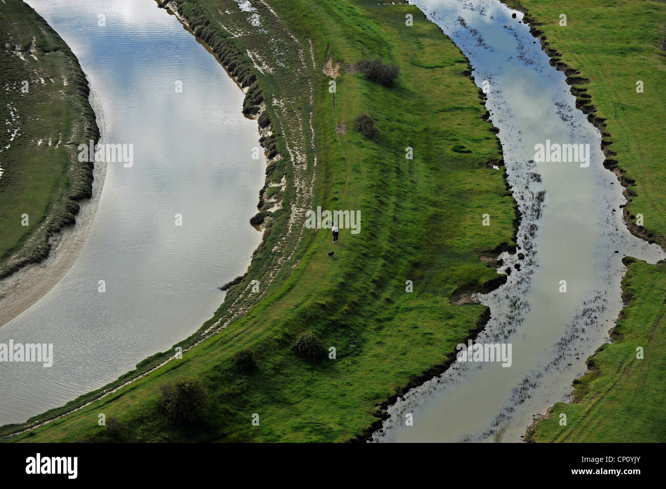 Meandering running dog hi-res stock photography and images - Alamy