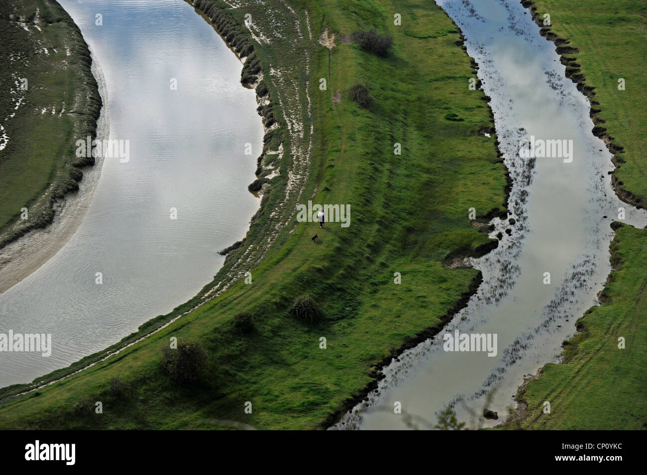 Meandering running dog hi-res stock photography and images - Alamy