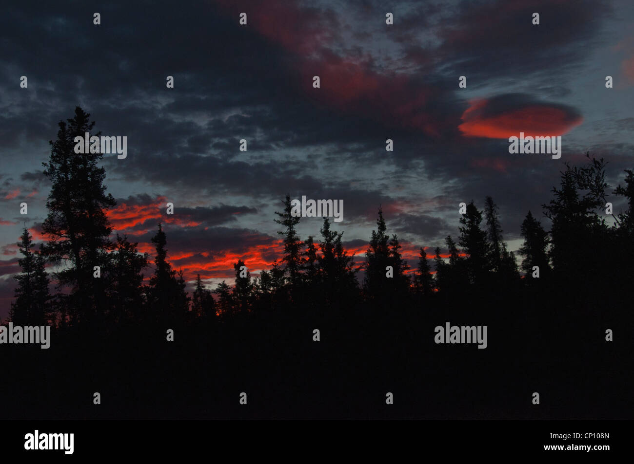 Denali National Park, Alaska. Sunset Stock Photo - Alamy