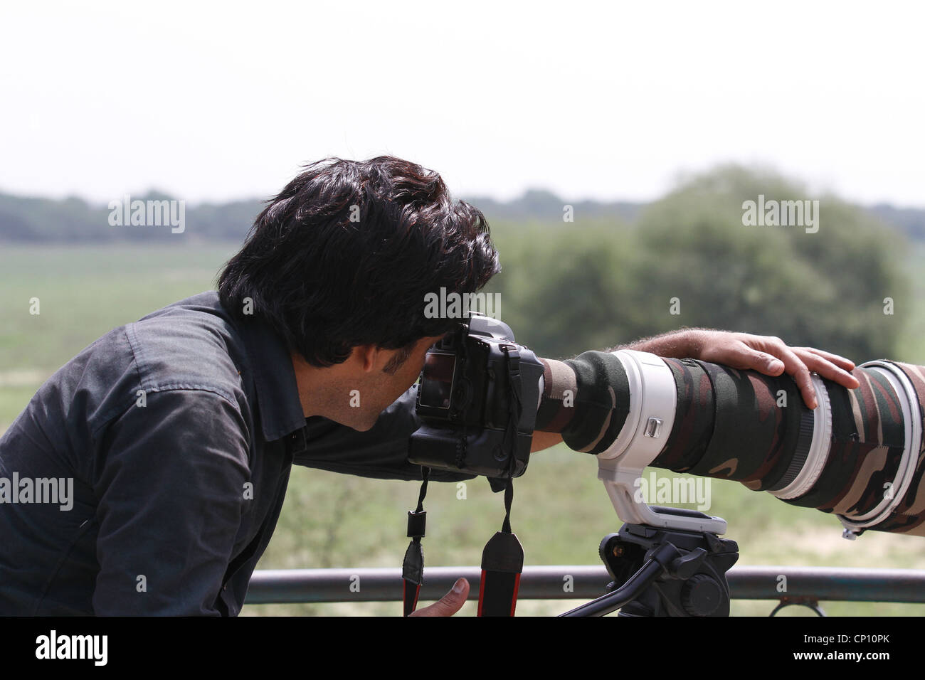 Professional Wildlife Photographer Stock Photo - Alamy