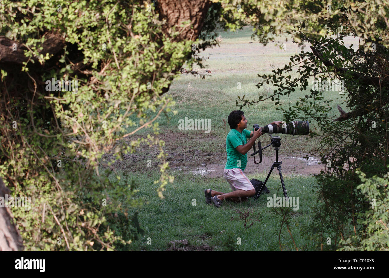 Wildlife camera operator hi-res stock photography and images - Alamy