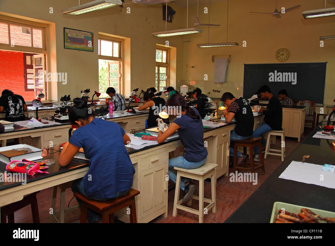 Student working in Lab Stock Photo - Alamy