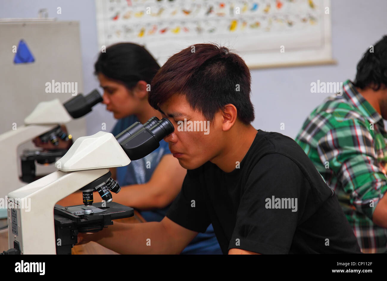 Medical students lecture hall hi-res stock photography and images - Alamy