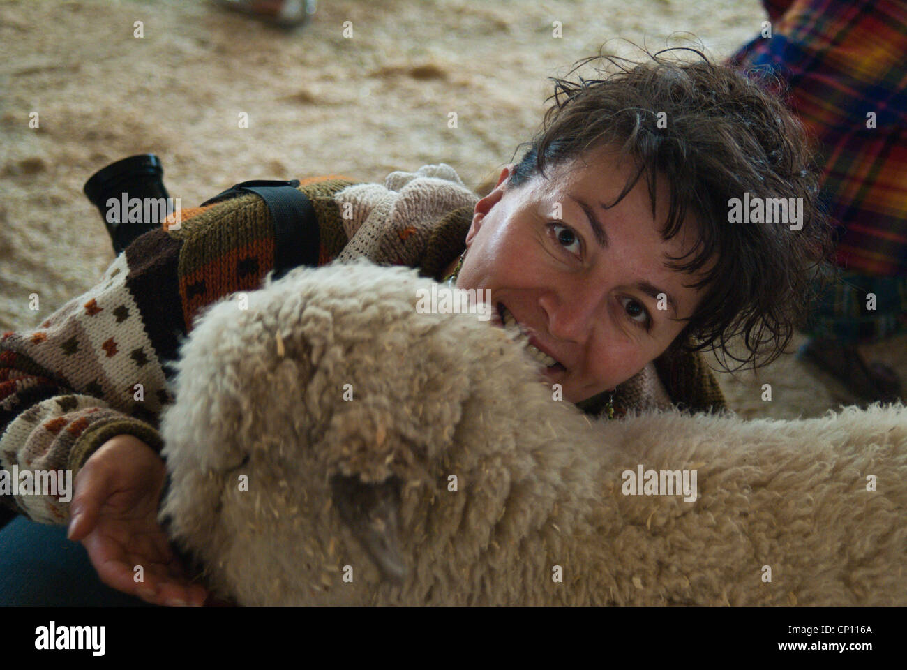 Sheep kissing woman hi-res stock photography and images - Alamy