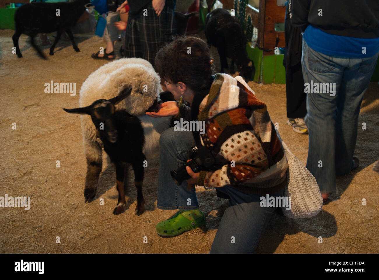 Sheep kissing woman hi-res stock photography and images - Alamy