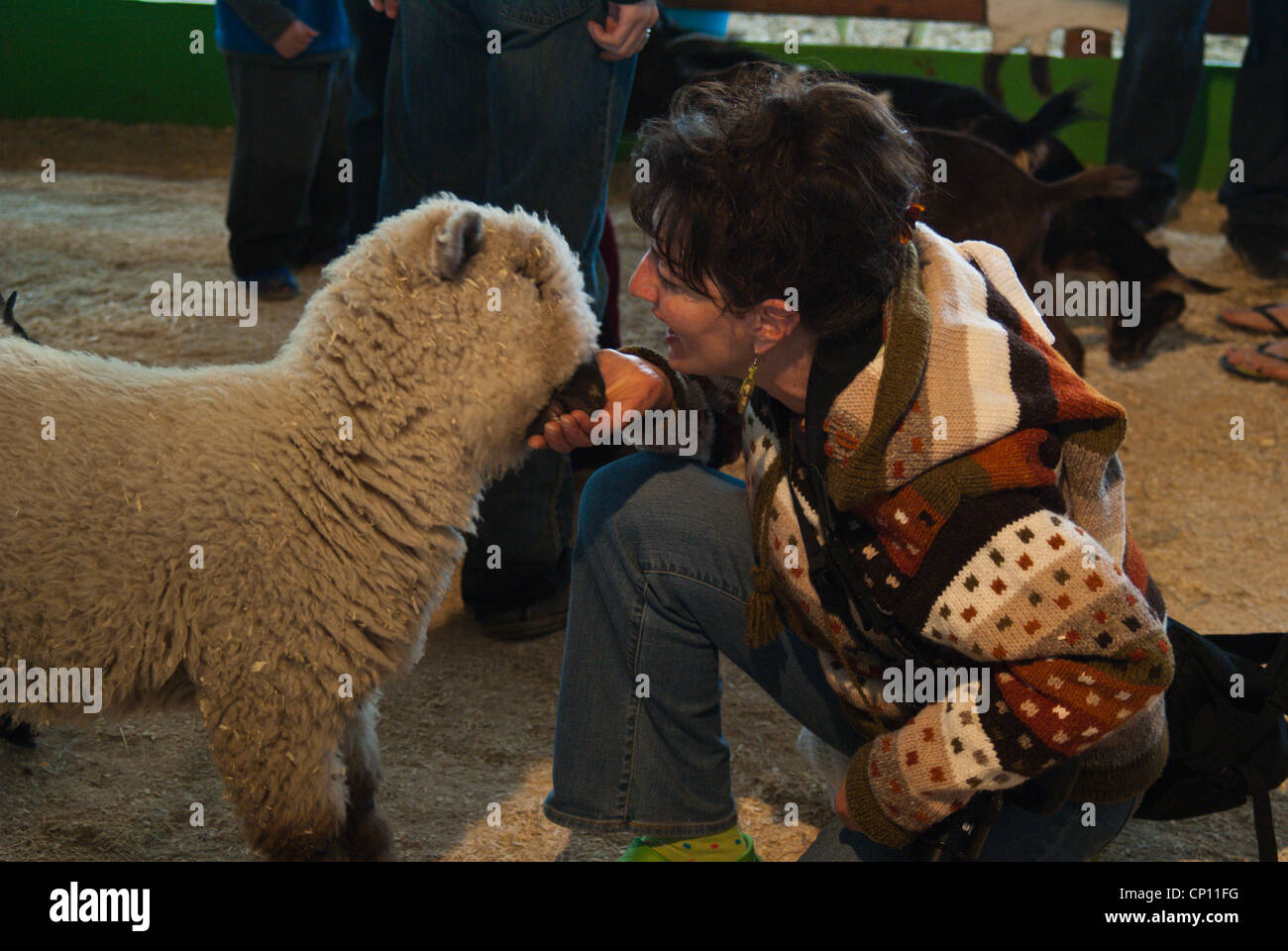 Red river manitoba farm hi-res stock photography and images - Alamy