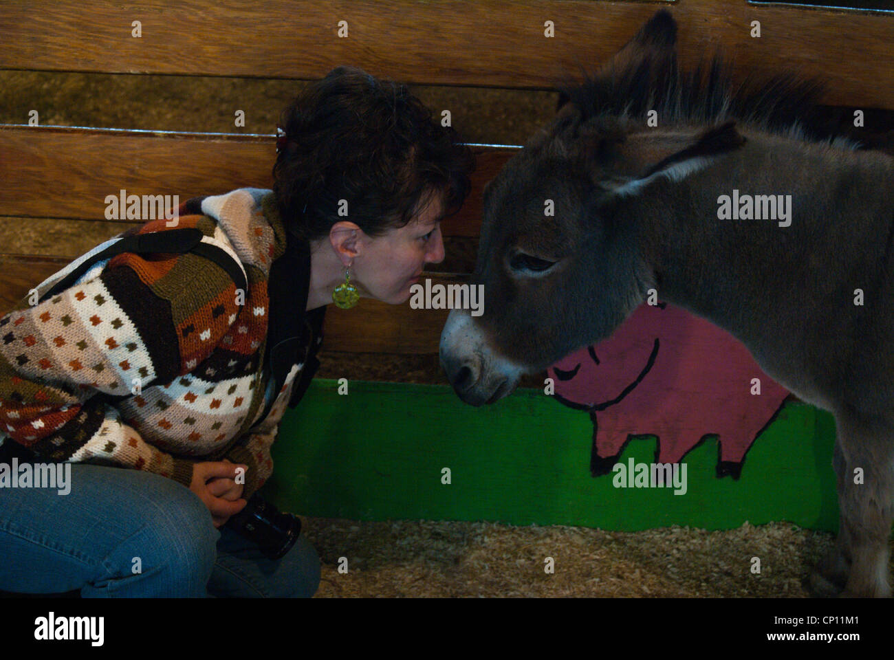 Red river manitoba farm hi-res stock photography and images - Alamy