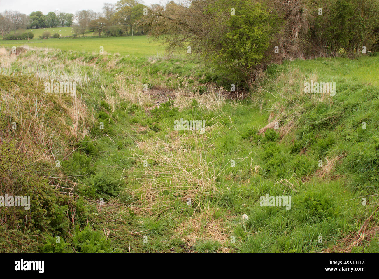The bed of a dried up chalk stream the River Ems Hampshire UK 2012 ...