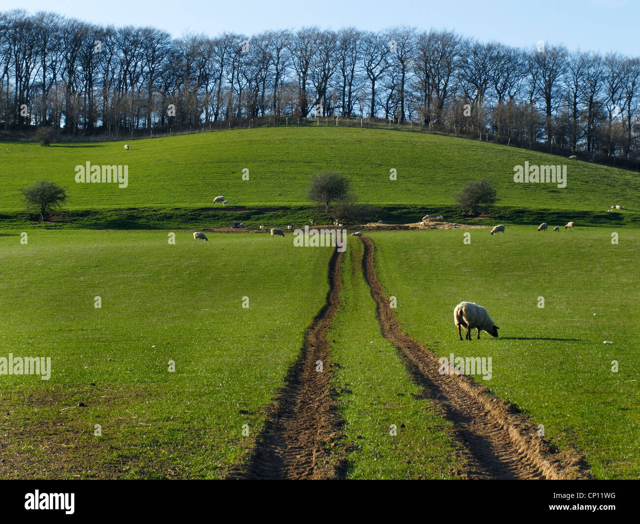 Tractor ruts hi-res stock photography and images - Alamy