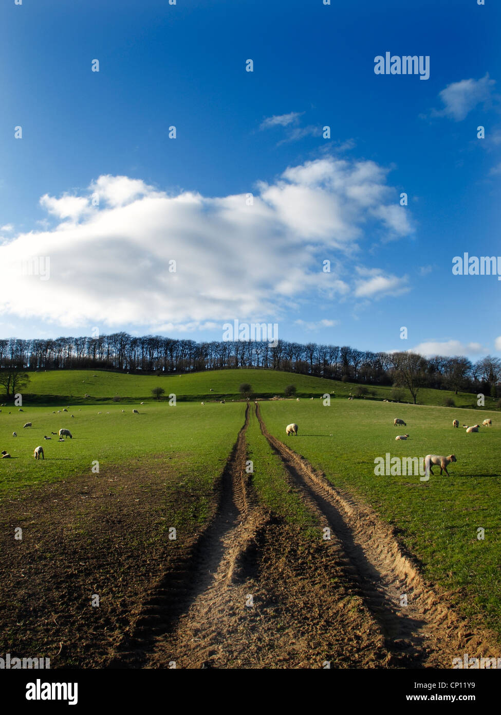 Tractor ruts hi-res stock photography and images - Alamy