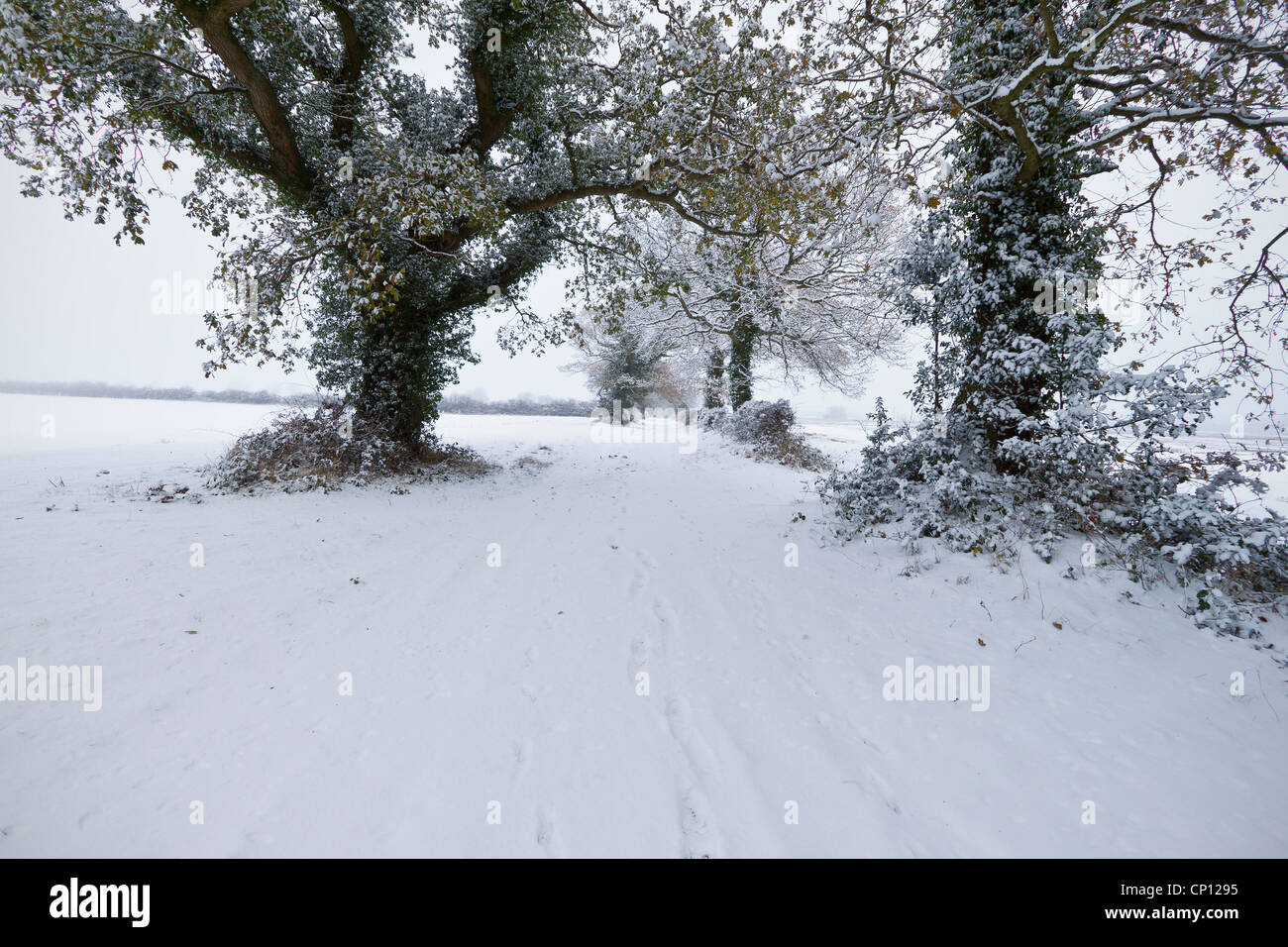 Early snowfall at the beginning of December in a small "North Norfolk ...