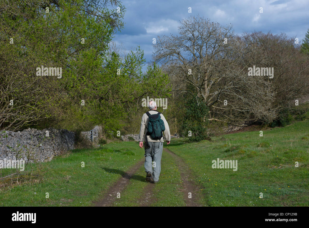 Walker on old track - Whitbarrow Road - in the Lyth Valley, South ...