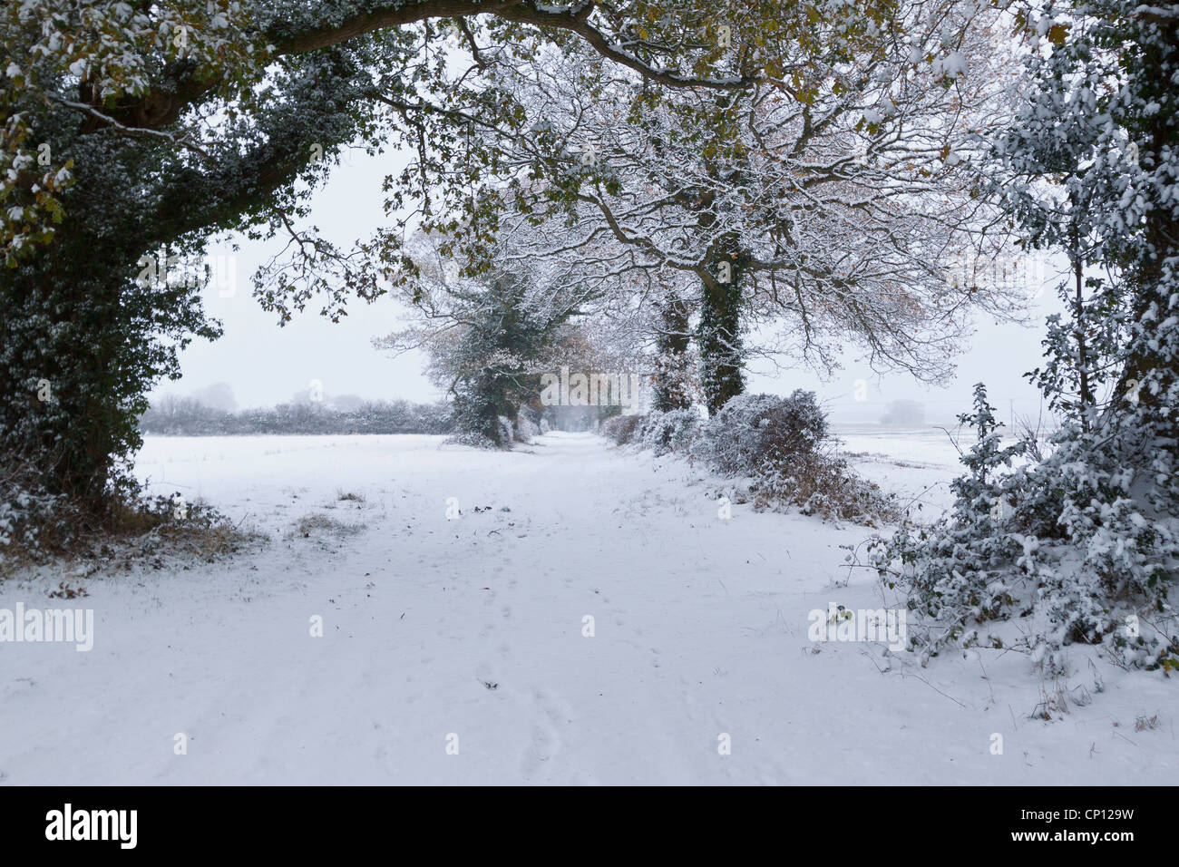 Early snowfall at the beginning of December in a small "North Norfolk ...