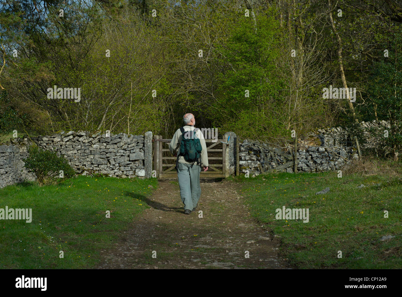Walker on old track - Whitbarrow Road - in the Lyth Valley, South ...