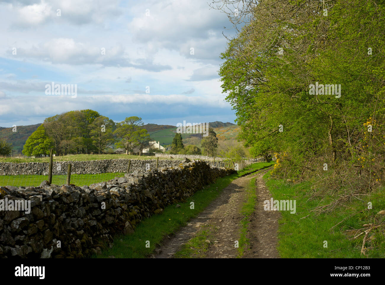 Old track - Whitbarrow Road - leading to the Lyth Valley, Cumbria ...