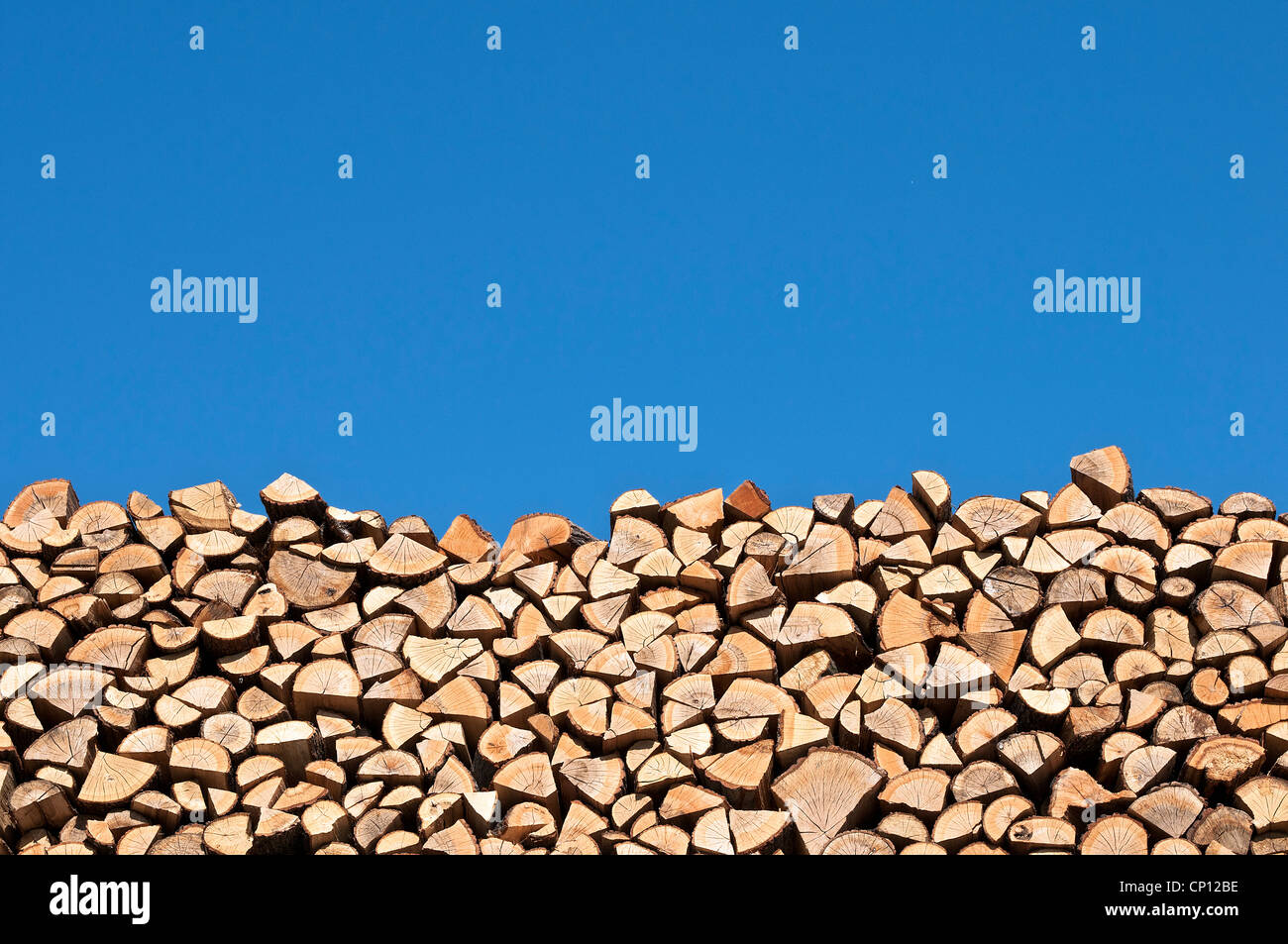 Large stack harvested logs hi-res stock photography and images - Alamy