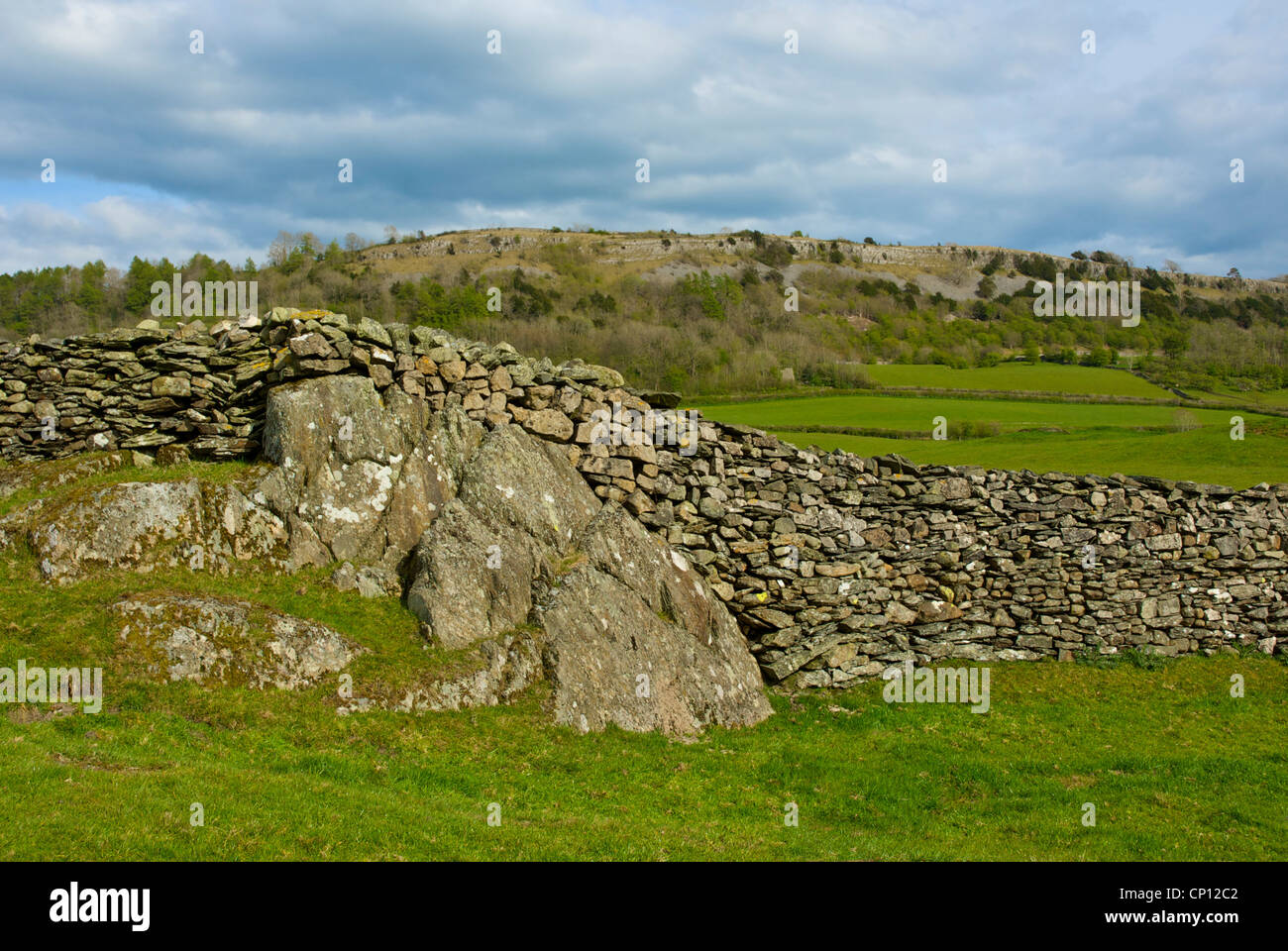 Whitbarrow Scar, South Lakeland, Cumbria, England UK Stock Photo - Alamy