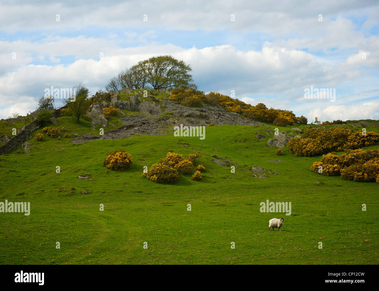 Rocky scene in the Lyth Valley, South Lakeland, Cumbria, England UK ...
