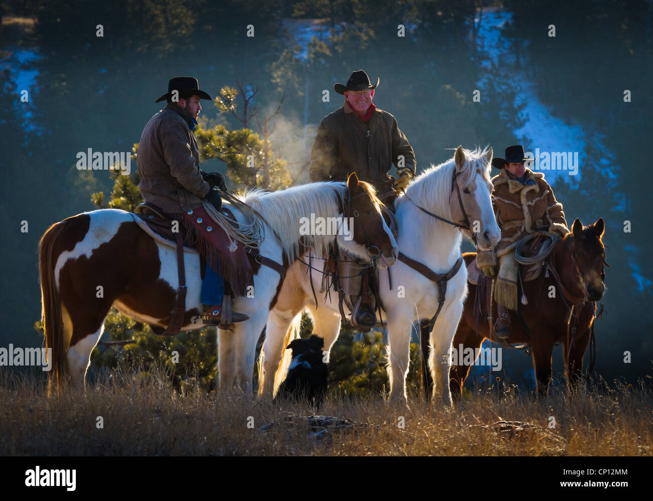 Cowboys on horses hi-res stock photography and images - Alamy