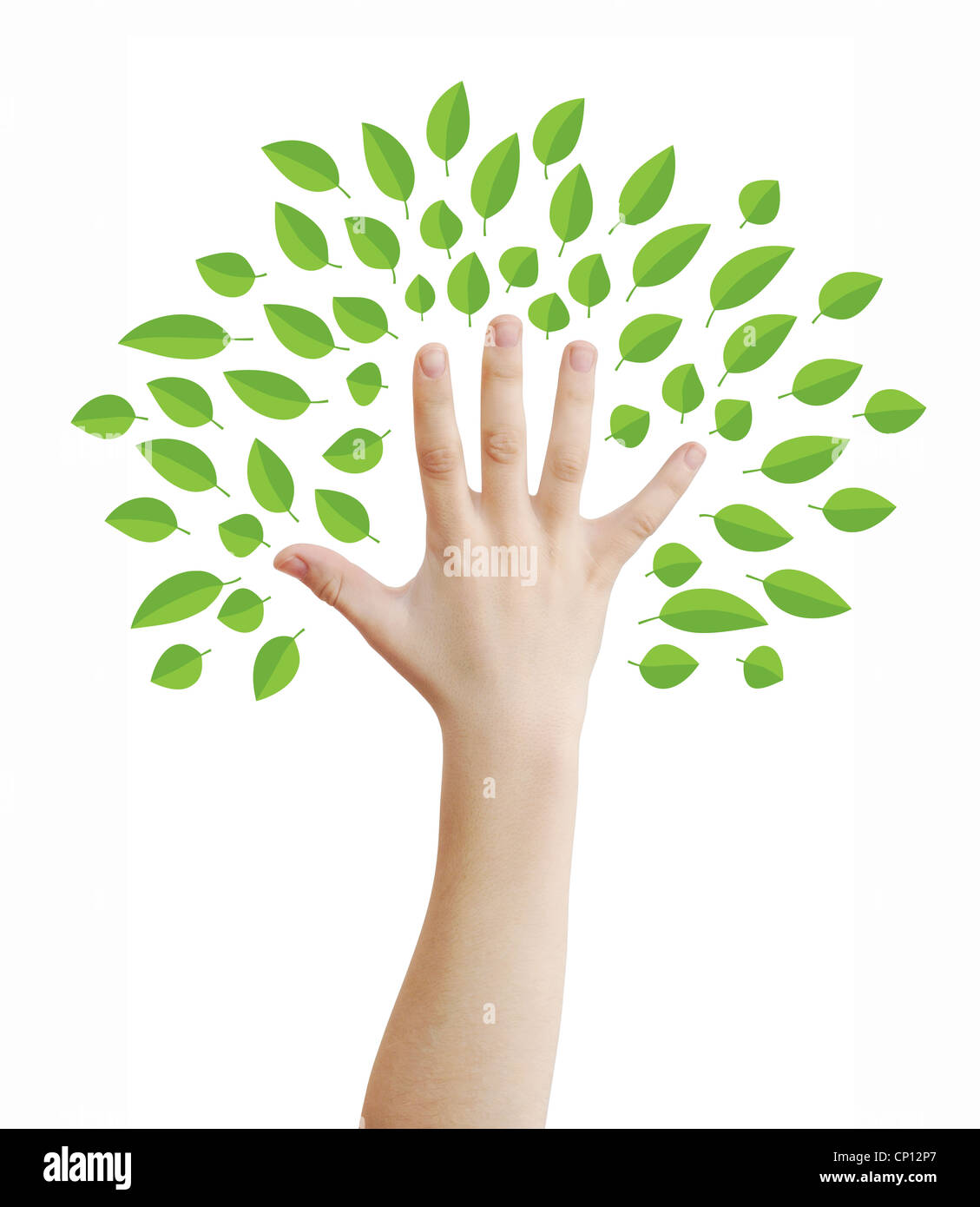 Hand as a tree with green leaves concept, isolated on white, clipping ...