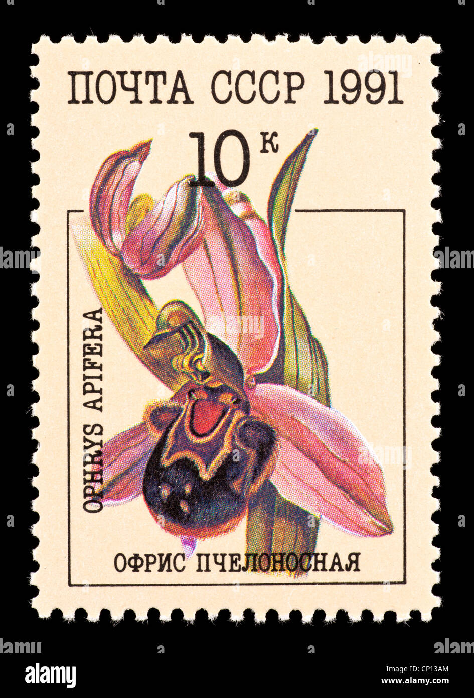 Postage stamp from the Soviet Union (Russia) depicting a bee orchid ...