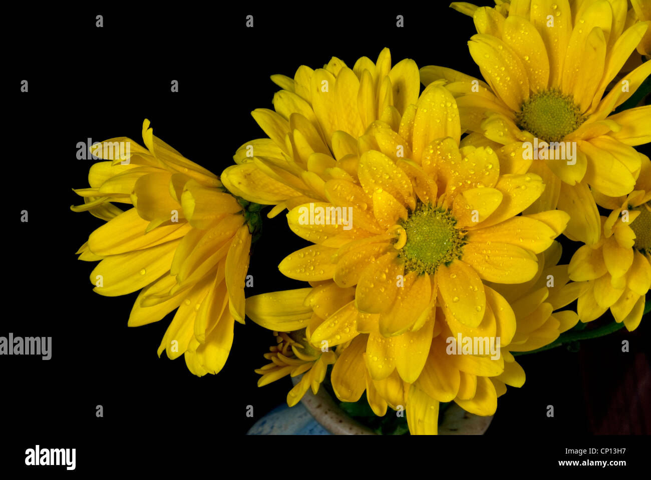 Yellow daises hi-res stock photography and images - Alamy