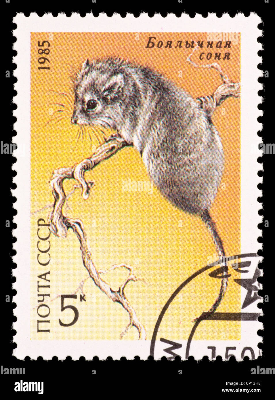 Postage stamp from the Soviet Union depicting Desert Dormouse ...