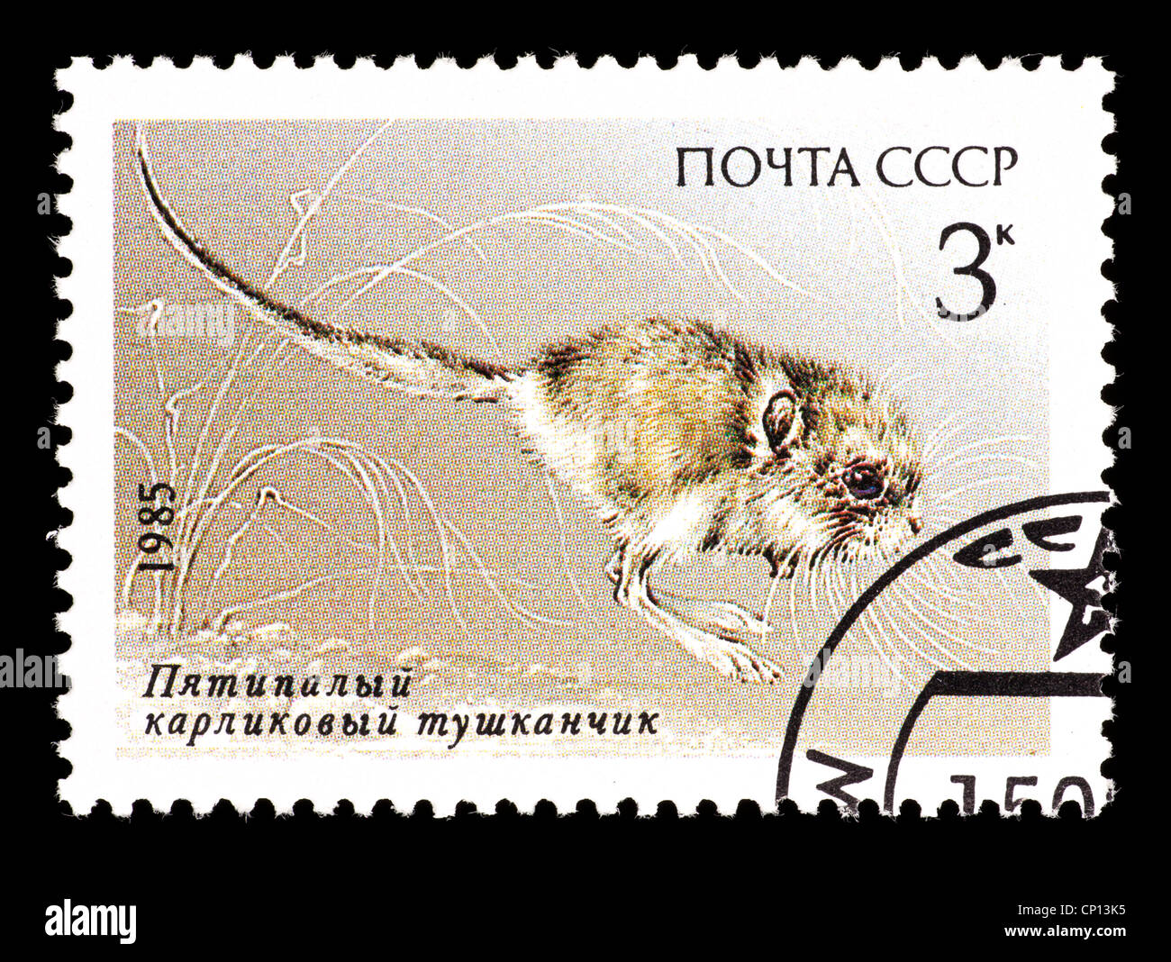 Postage stamp from the Soviet Union depicting a Five-toed Pygmy Jerboa ...
