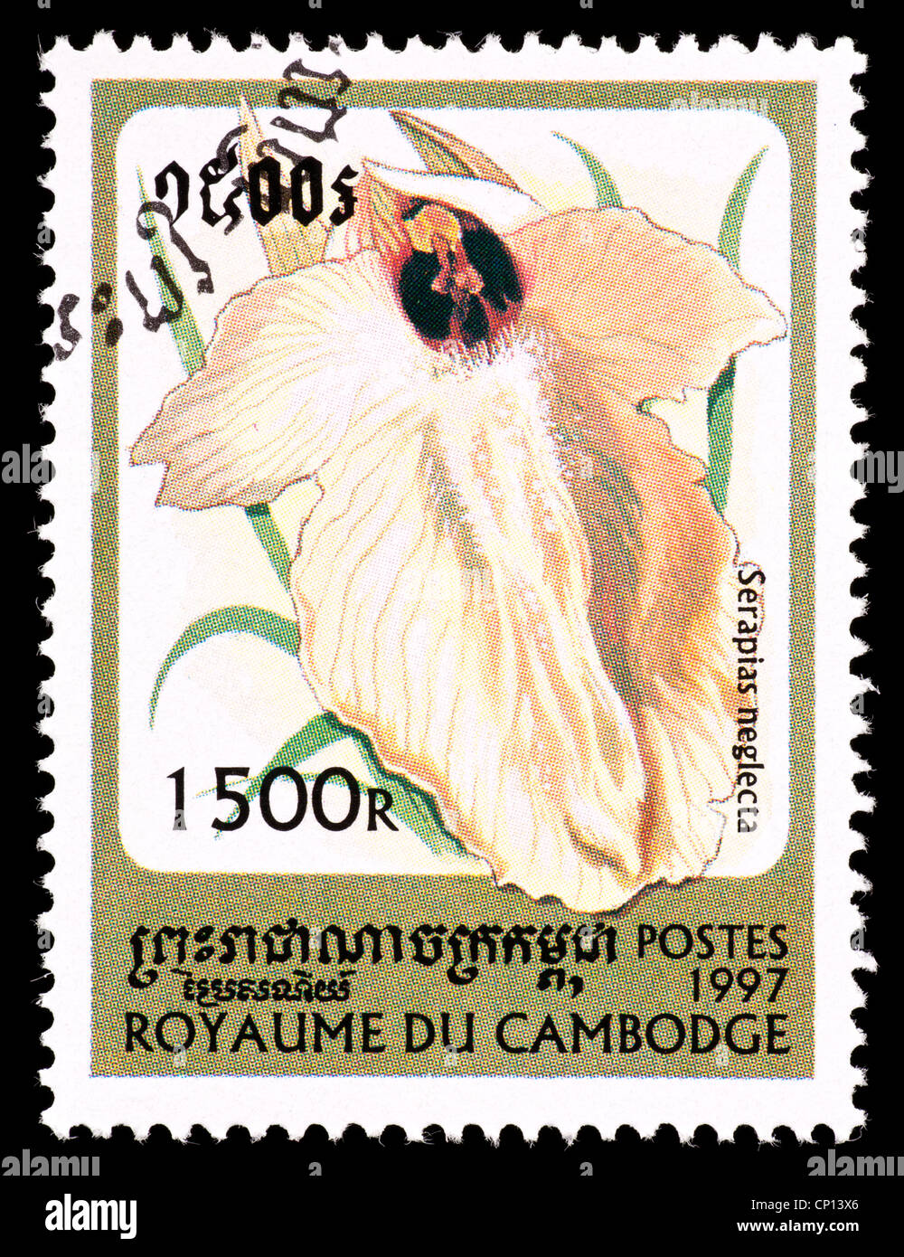Postage stamp from Cambodia depicting an exotic orchid (Serapius ...
