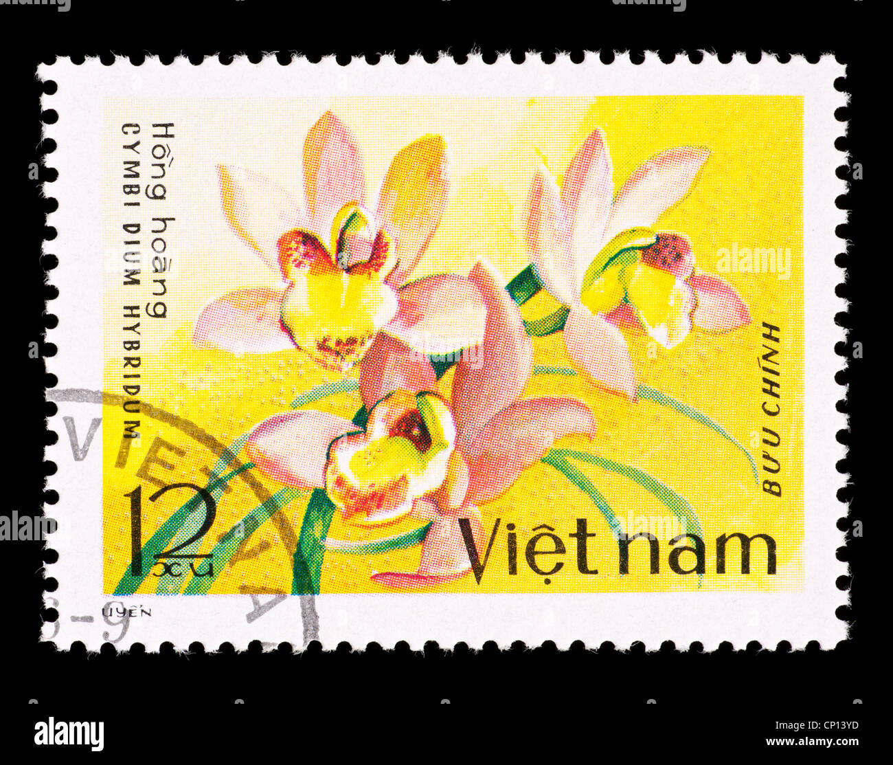 Postage stamp from Vietnam depicting a Cymbidium hybrid orchid Stock ...