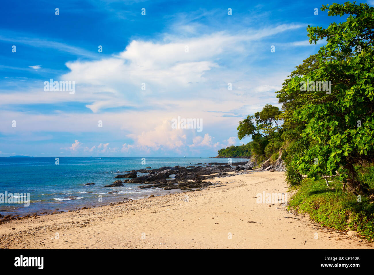 Jungle rocks hi-res stock photography and images - Alamy