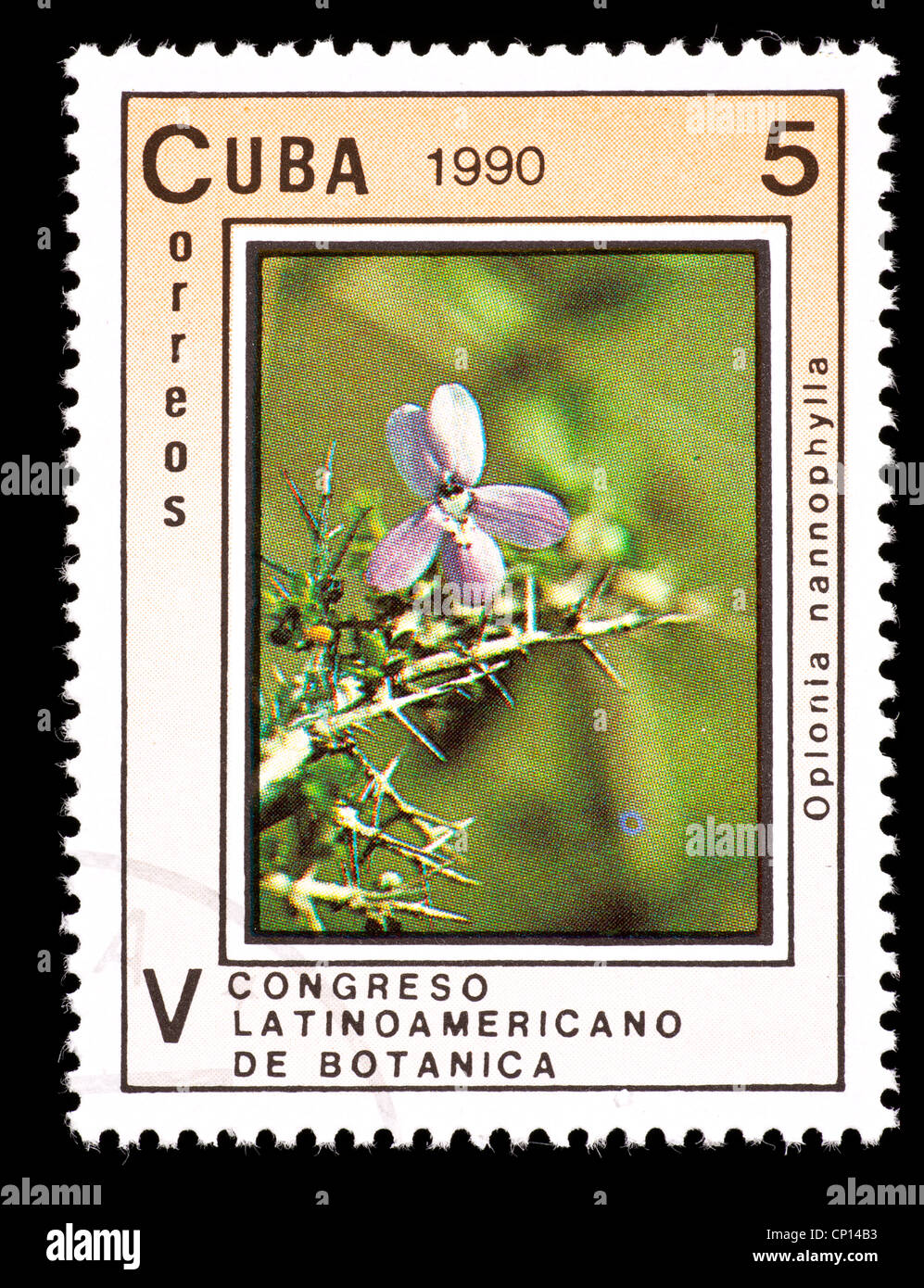 Postage stamp from Cuba depicting a tropical orchid (Oplonia ...