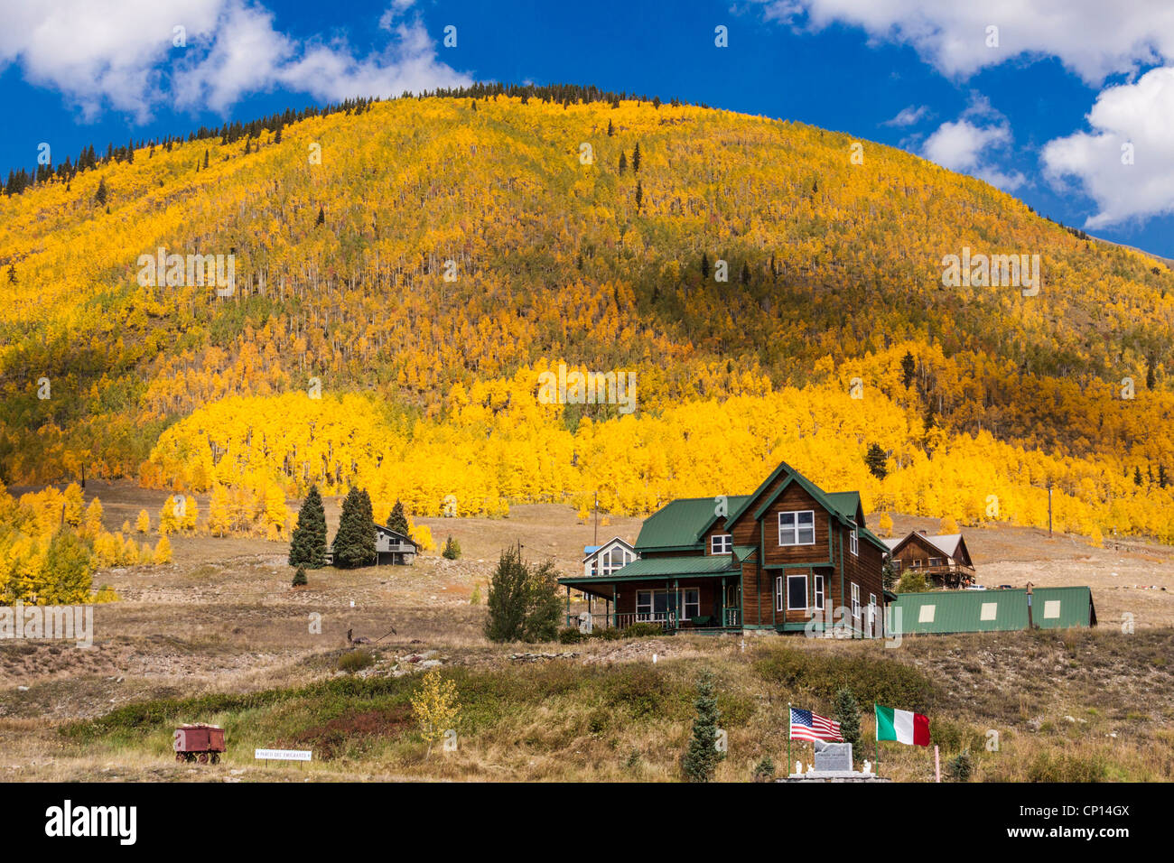 Autumn Color with Aspens turning yellow and orange at the National ...