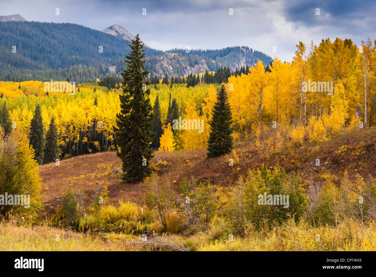 Eye candy and road hi-res stock photography and images - Alamy